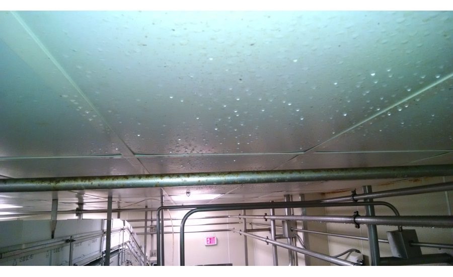 Equipment design and sanitary facilities | Food Safety