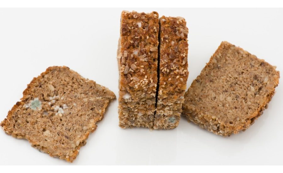 Slideshow: Advances in fungal and microbial control from farm to fork ...