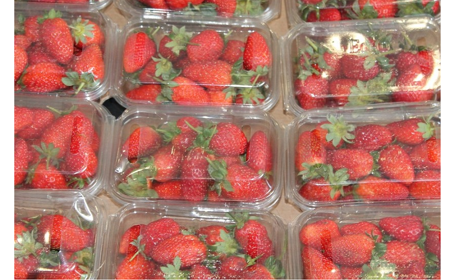 A Beginner's Guide to FDA Food Contact Materials Regulations | 2018-01 ...