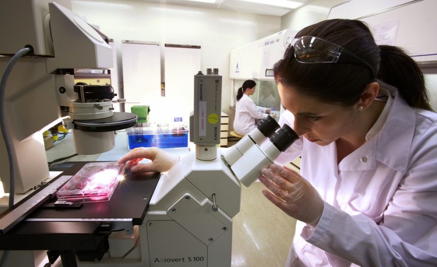 The importance of environmental swabbing | 2018-06-12 | Food Safety