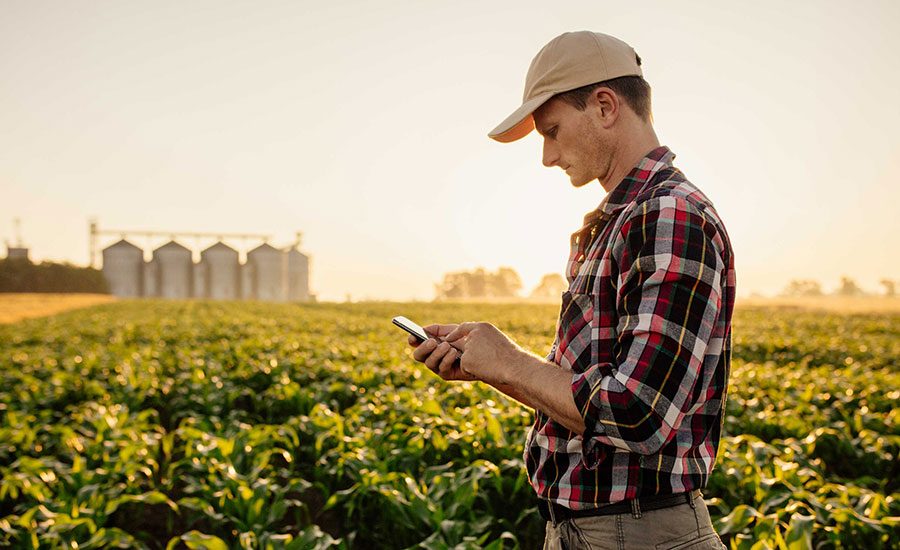 Simulation of Sampling Strategies for Food Safety: A New Tool for ...