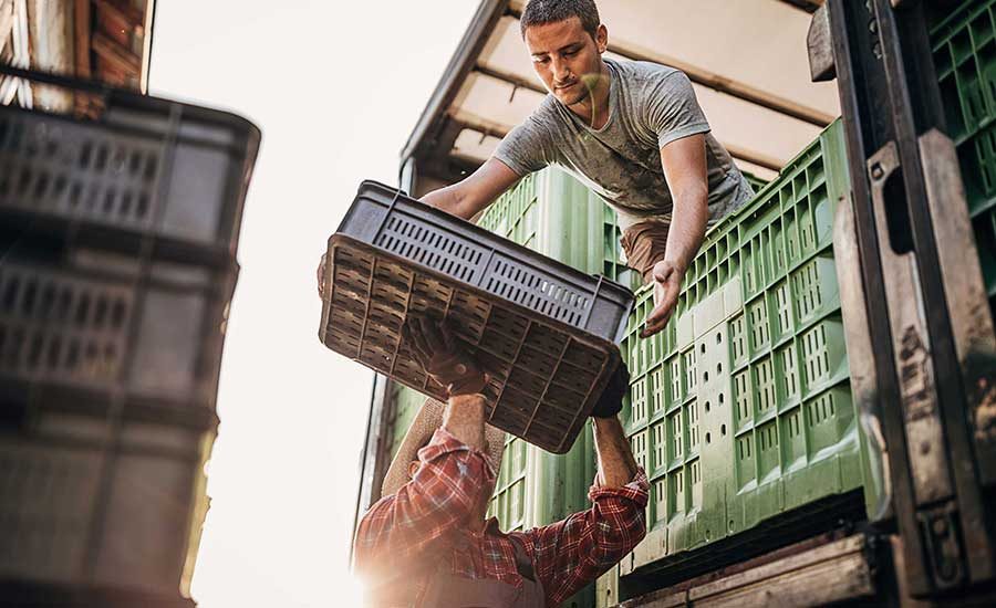 Reducing Food Safety Risks in Transporting Food