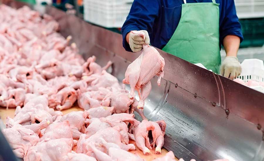 Food Safety | For Food Safety Professionals across the food and ...