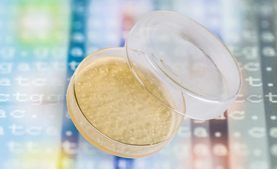 Advancing Food Safety Through an Enhanced Approach to Environmental ...