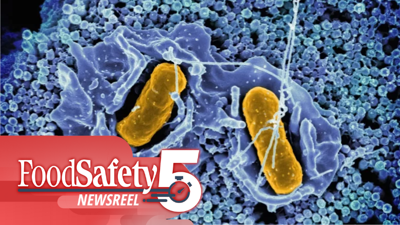 Food Safety Five Ep. 18: UK BPA Ban, Plastic in Produce, and a ...