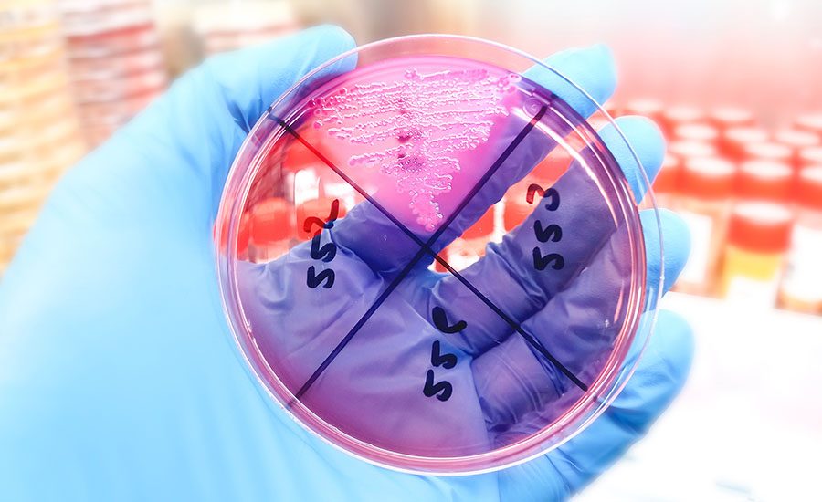 A Look at the Growth of the Global Food Safety and Beverage ...