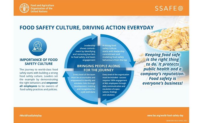 Food Safety Posters Spanish
