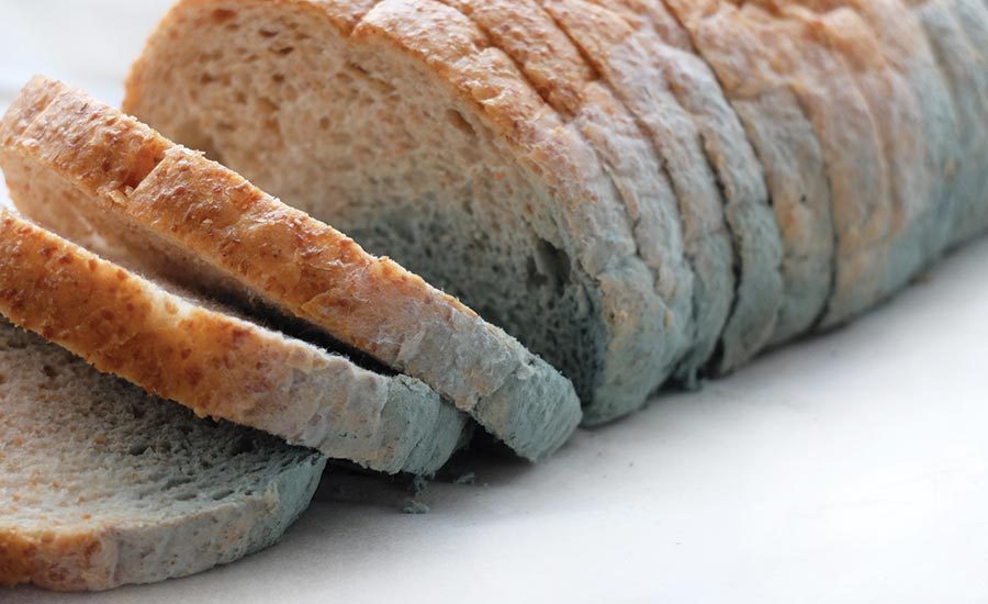 Clemson researchers working on packaging that detects food spoilage ...