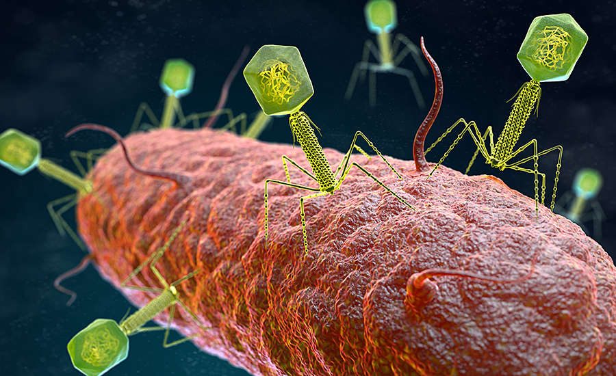 Battle versus bacteria heats up | 2020-09-03 | Food Safety Magazine