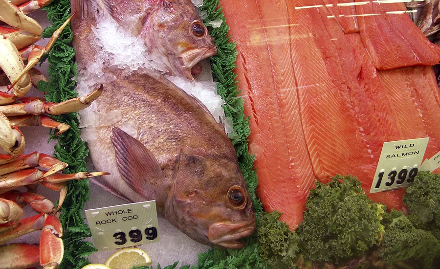 Report highlights role of sustainable seafood certification | 2017-06 ...