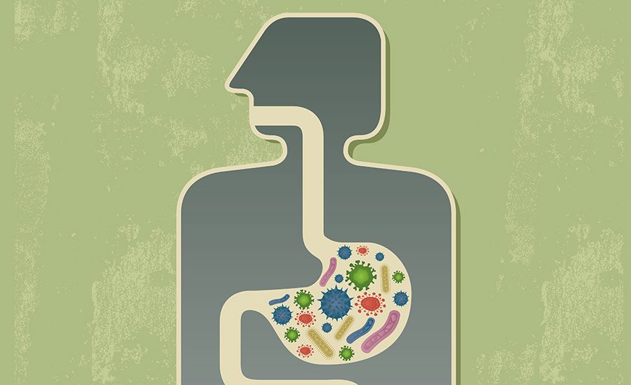 FSIS Releases FY2020 Foodborne Illness Outbreak Investigations Summary ...