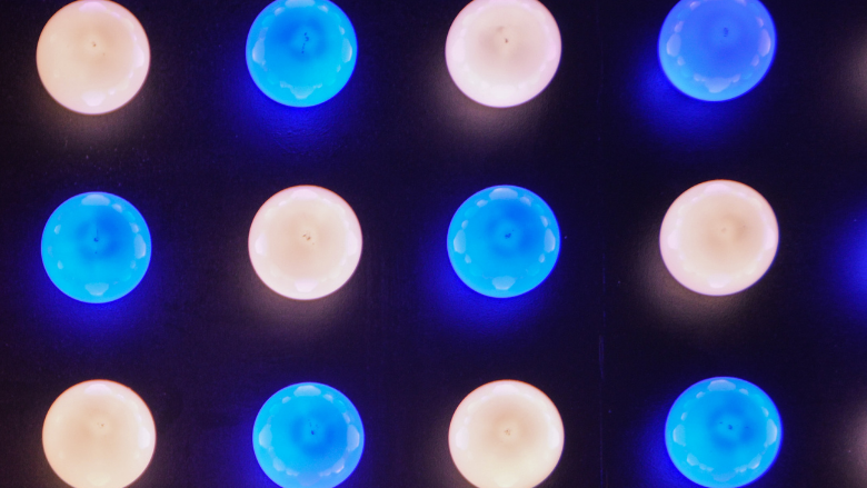Study to Examine Antimicrobial Efficacy of Blue Light in Food ...