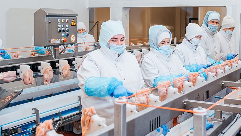 Designing a Culture of Food Safety