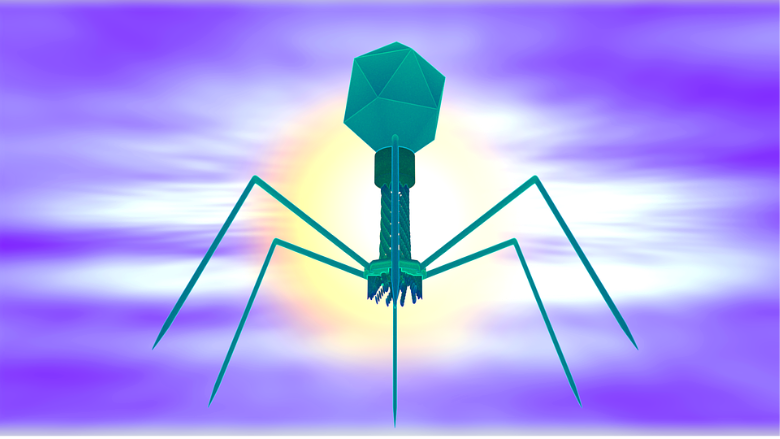 Antimicrobial Phage Spray Effective Against Foodborne Bacteria ...