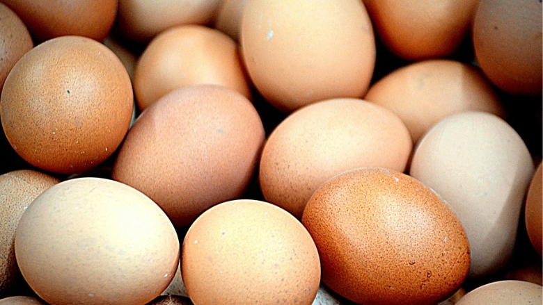 FDA Issues Final Guidance for Shell Egg Producers on Outdoor Access for ...