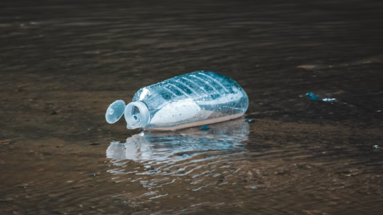 Microplastics Encourage Biofilm Formation, Pose Microbial Food Safety ...