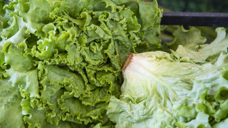 CDC Summarizes Multistate Foodborne Illness Outbreaks 2017–2020 ...