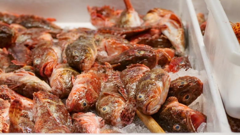 European Collaboration to Mitigate Ciguatera Poisoning | Food Safety