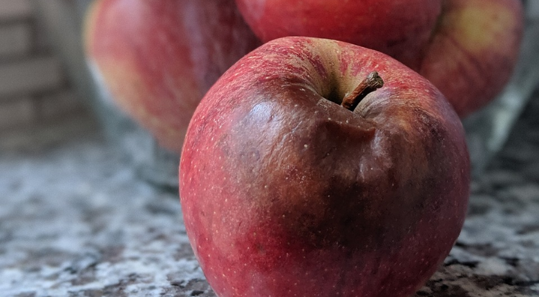 Scientists Discover Microbe That Degrades Harmful Mycotoxin | Food Safety