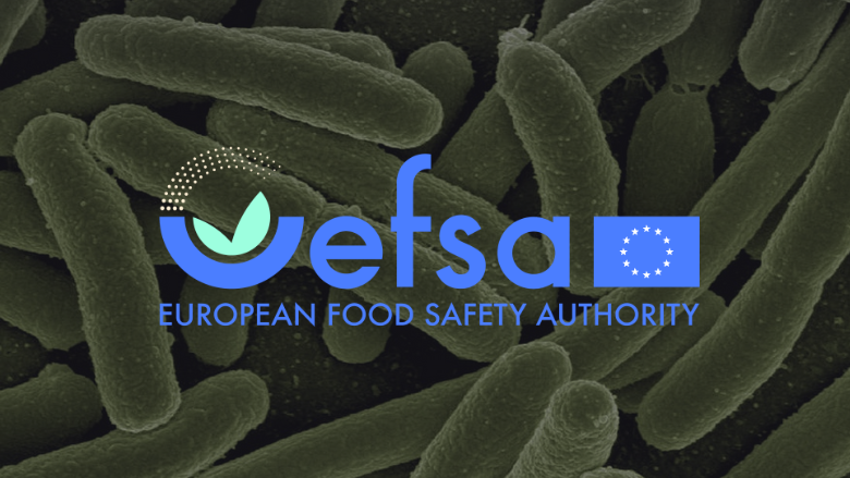 Summary of EFSA Microbiological Risk Assessment Network Activities ...