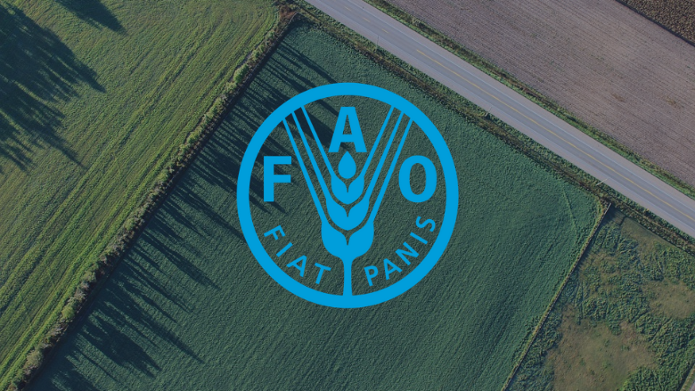FAO Releases Strategic Priorities for Food Safety 2022–2031