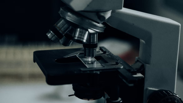 Study Demonstrates Accuracy of Rapid Foodborne Pathogen Detection Using ...