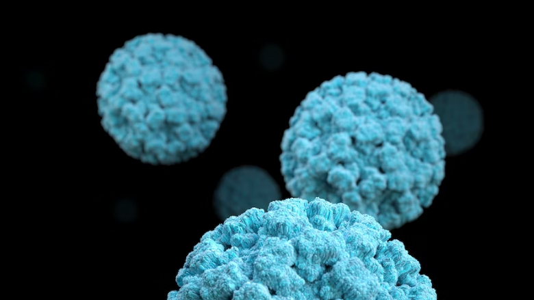 Researchers Developing Vaccine for Human Norovirus, a Major Cause of ...