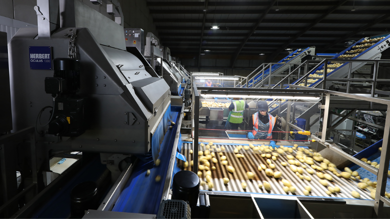 Enhanced Herbert OCULUS Optical Sorter for Whole Potatoes from Key ...