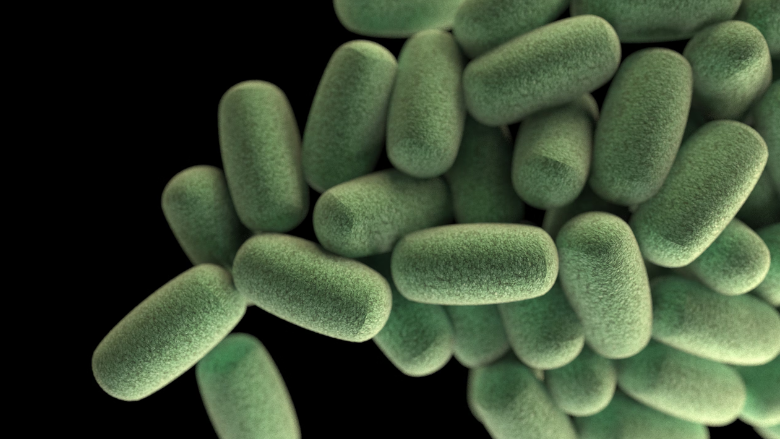 Researchers Discover Amino Acid That Inhibits Illness-Causing ...