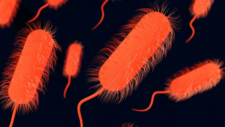 Listeria, Salmonella Represent 40 Percent of FDA Food and Beverage ...
