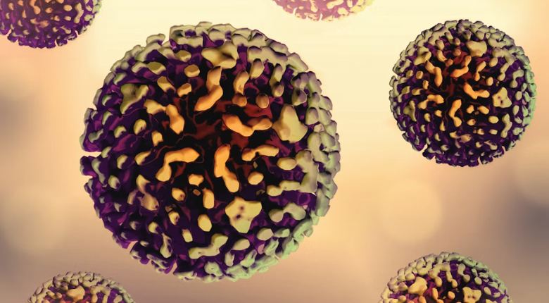 FAO/WHO Expert Committee: Prevention is the Cornerstone of Foodborne ...