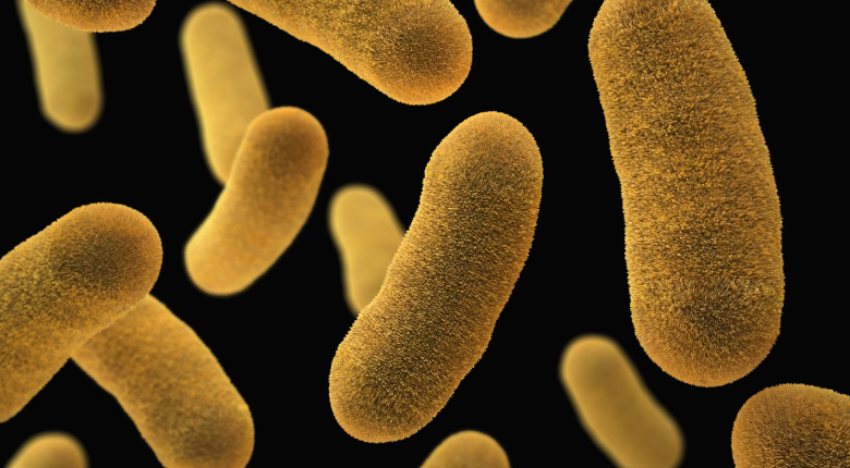 Yersinia Infection Yersinia Pestis: Sequence Sheds Light On The