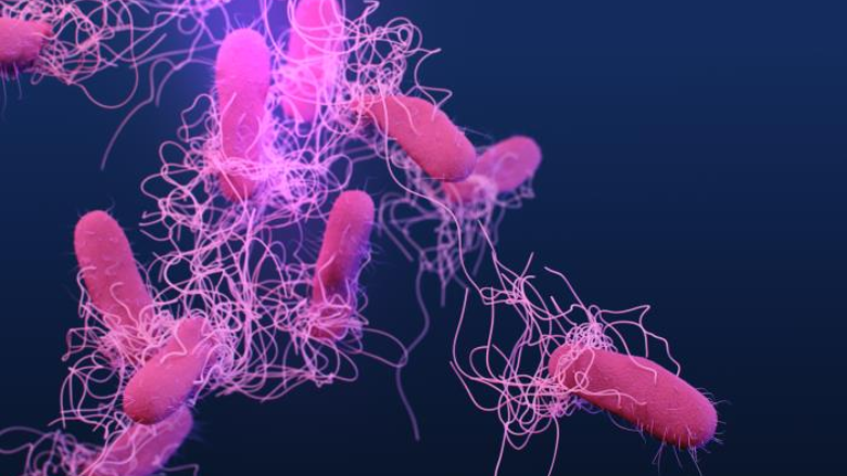 UK Sees Increases in Cases of Infection by Important Foodborne ...