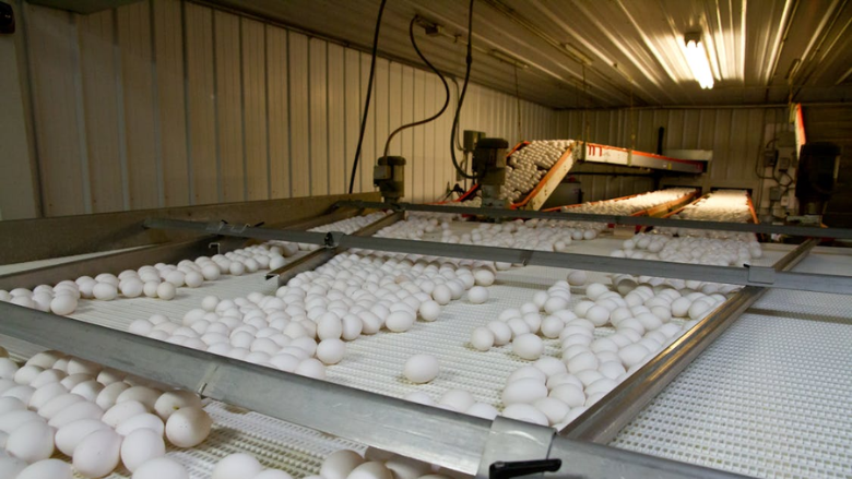 USDA-FSIS Seeks Input on Potential Updates to Establishment Size ...
