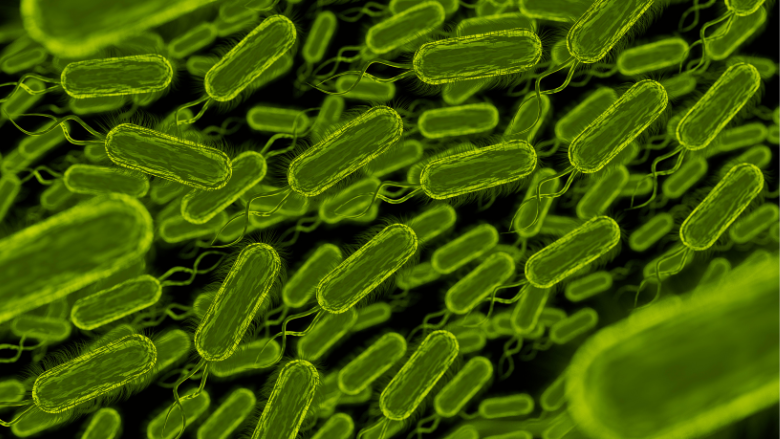 Stricter EU Regulations on Listeria in RTE Foods Now in Effect; Ireland ...