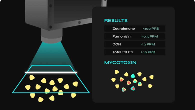Mycotoxin Test for Corn with Results in 30 Seconds | Food Safety