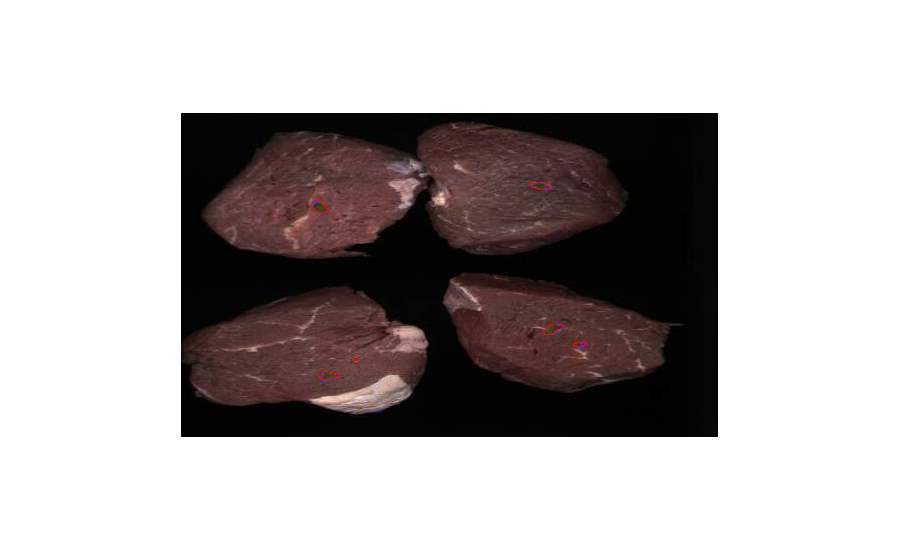Low density foreign material detection system wins innovation showcase ...