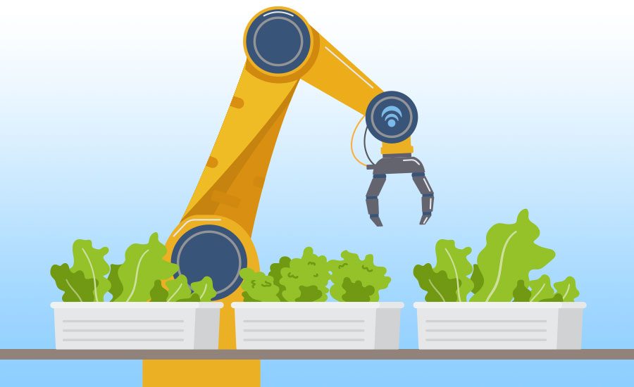 The Robot That Thinks It’s a Salad Chef | Food Safety