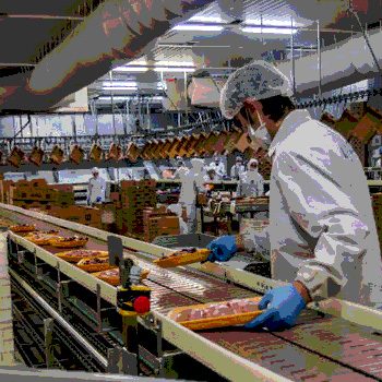 Food Defense Perspectives within a Food Protection Landscape: An ...