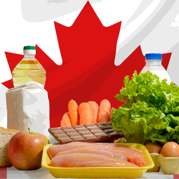 Safe Food for Canadians Act Regulations: An Overview