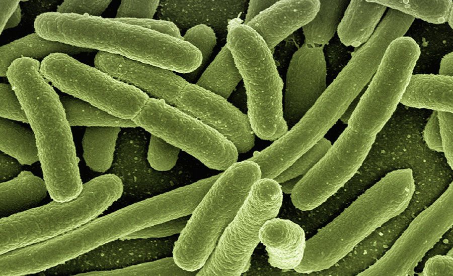 First Quarter of 2021 Brings Only Three Multistate Foodborne Illness ...